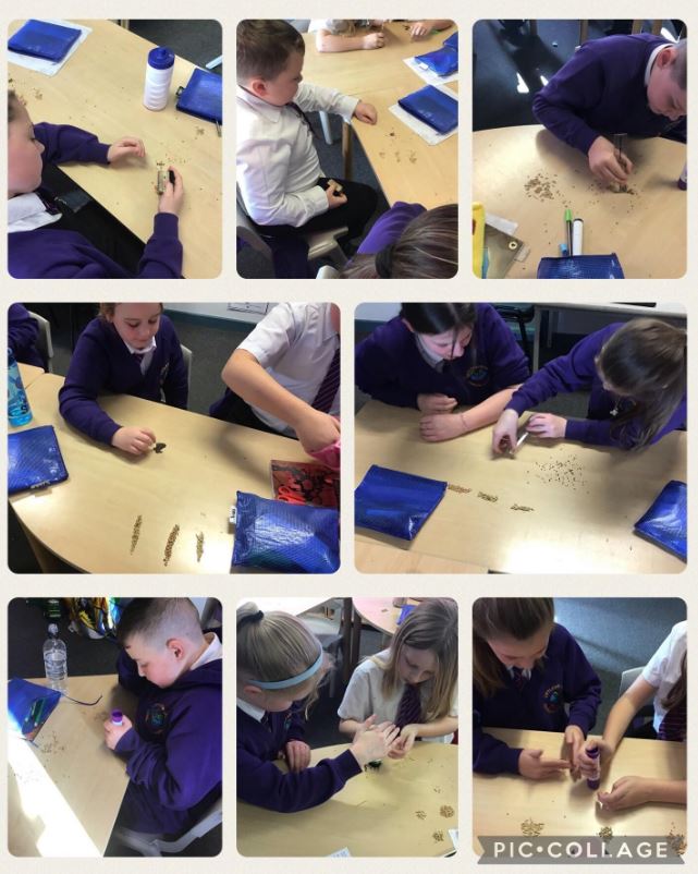 Packington Farm Visit Year 5 - Littleton Green Community School